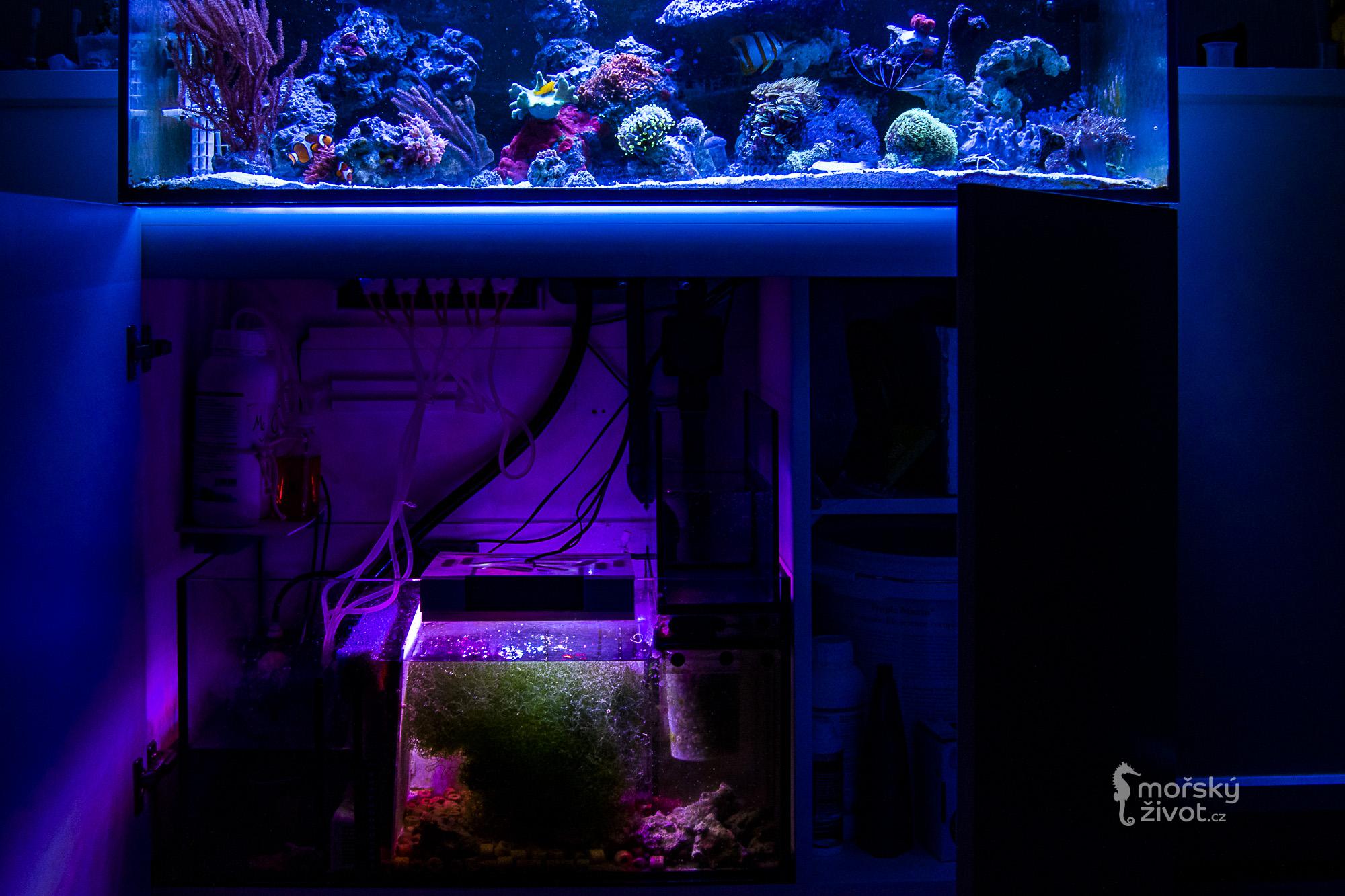 Co je sump? - Mořské akvárium – český průvodce mořskou akvaristikou ...